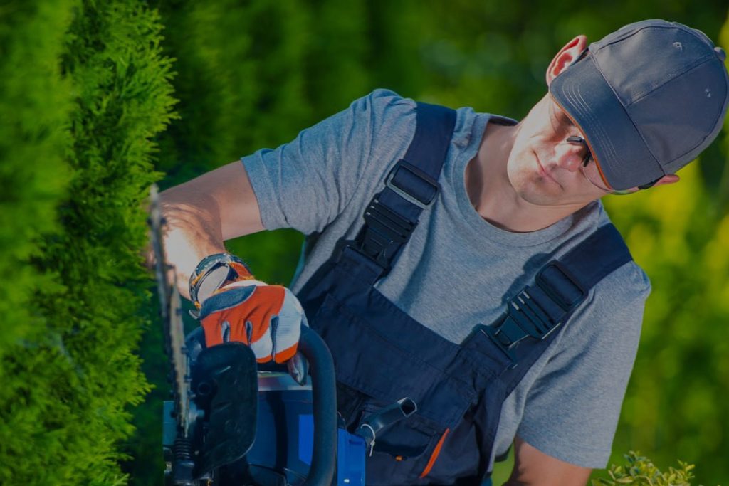 Need Help Finding Employees? This Works! | Automatic Hiring Machine